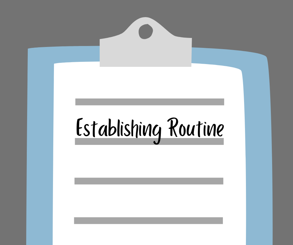 E-learning: Establishing Routine — wildcardcorp.com